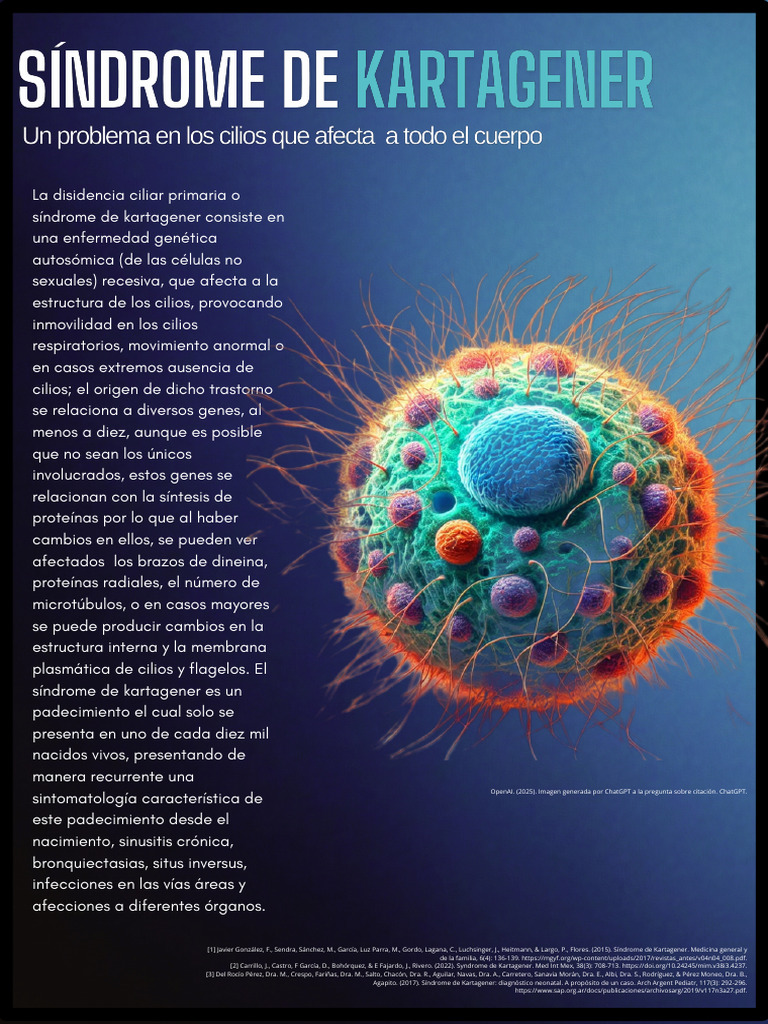 Síndrome de Kartagener: Causas y Síntomas | PDF | Biología ...