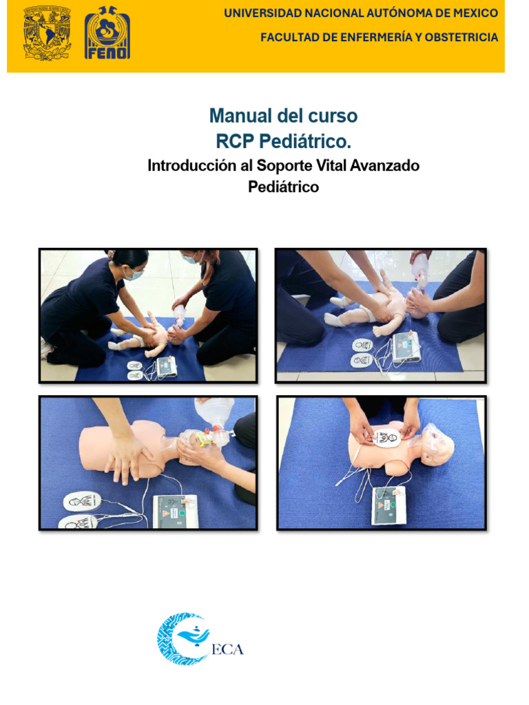Manual RCP Pediatrico 2025 | PDF | Reanimación cardiopulmonar | Paro ...