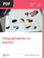 Npro Genogram Quick Reference.2022 | PDF | Graphical User Interfaces | Software