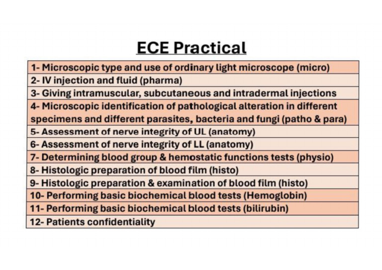 ECE | PDF