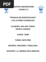 USO Correcto de La Tabla Rigida | PDF | Reanimación cardiopulmonar