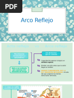 USO Correcto de La Tabla Rigida | PDF | Reanimación cardiopulmonar