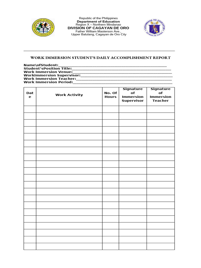 Daily Work Accomplishment Report 2 | PDF
