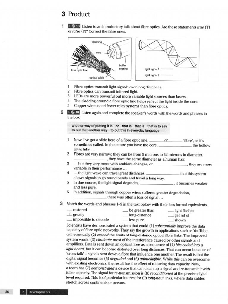 Fibre Optics - Listening Activity | PDF