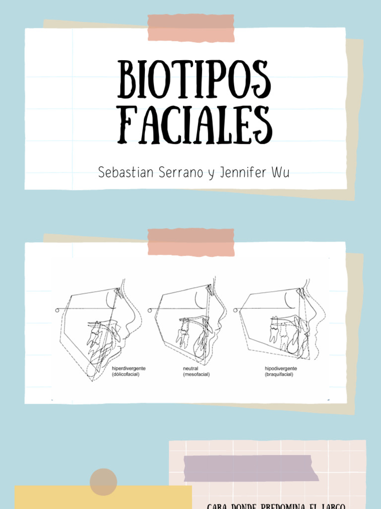 Biotipos Faciales | PDF