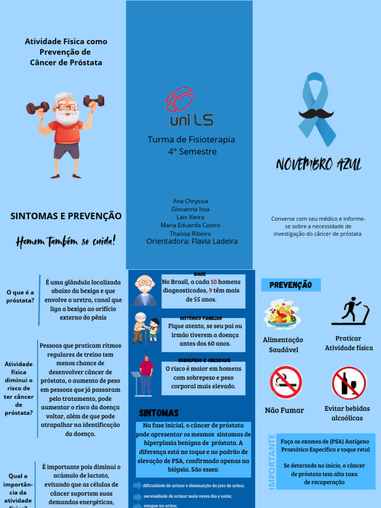 Folder Câncer de Próstata _20240921_131343_0000 | PDF | Câncer de ...