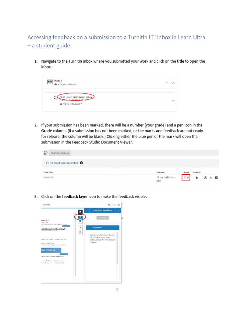 11. Accessing Feedback on a Submission to a Turnitin Lti Inbox in Learn Ultra 2023 | PDF