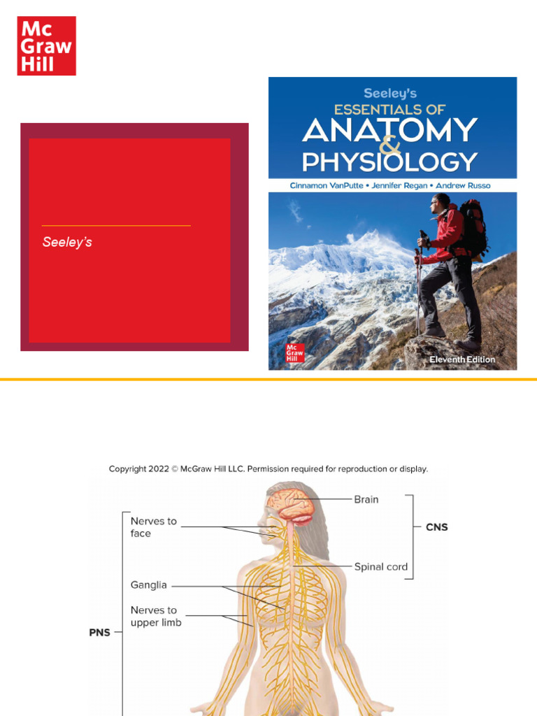 Nervous System Overview and Functions | PDF | Myelin | Axon