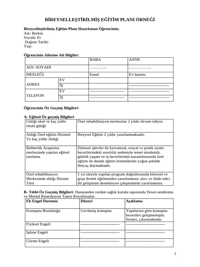 bireysel-egitim-plan-ornegi-3 | PDF