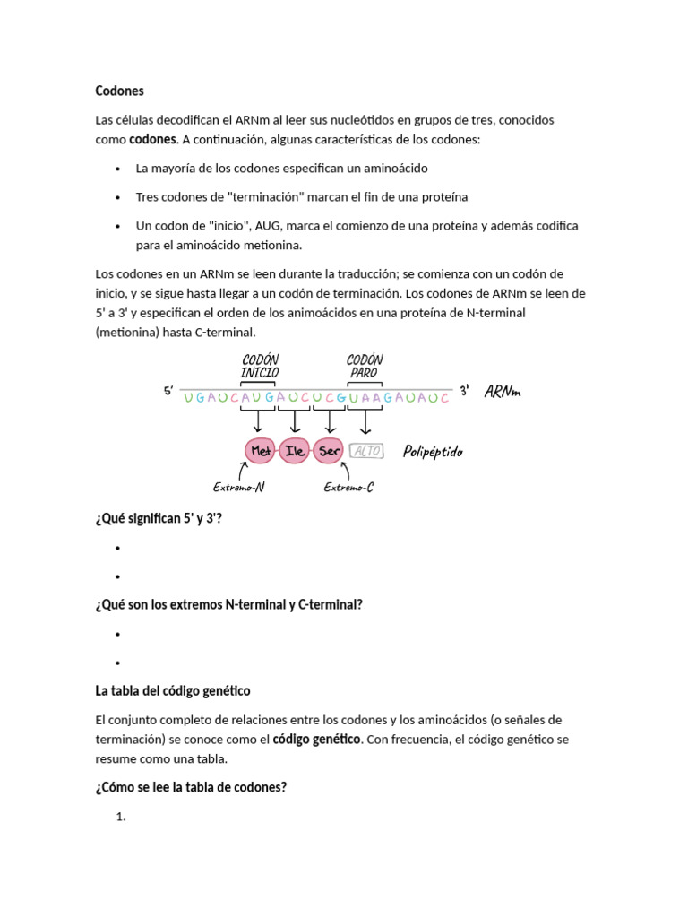 Codones | PDF | Codigo genetico | Traducción (biología)