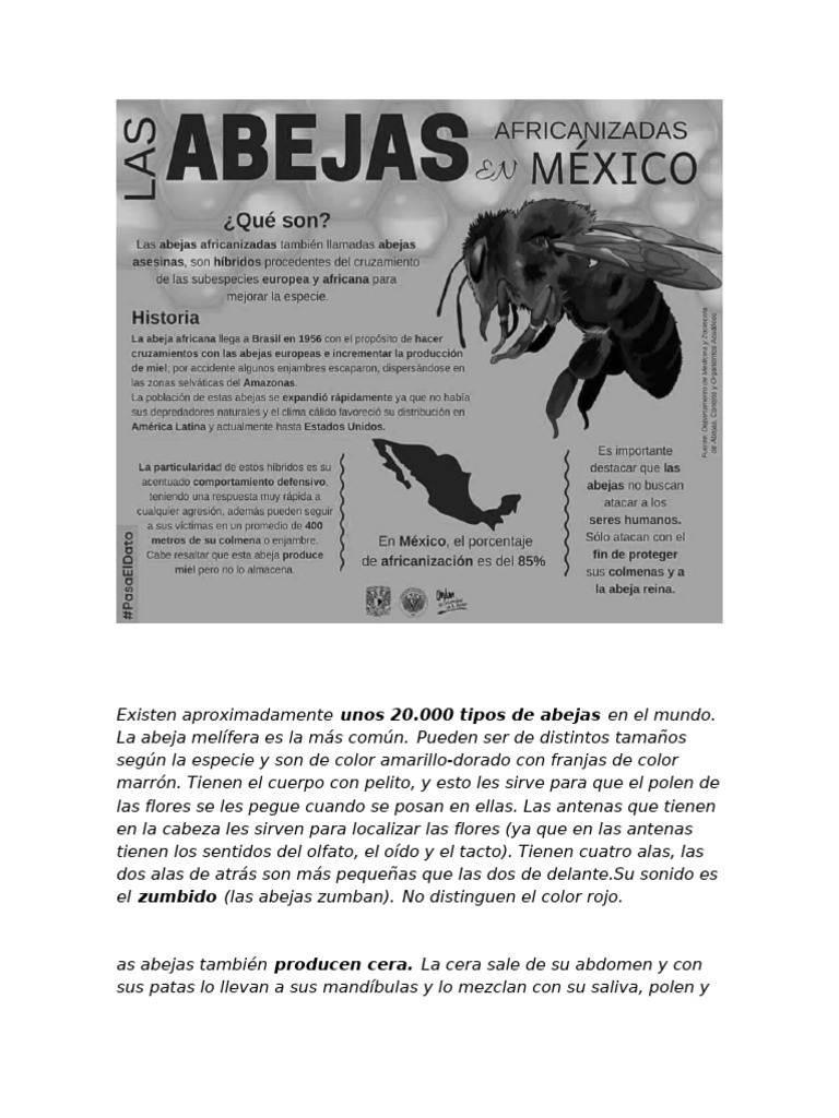 Anatomía y Hábitat de las Abejas | PDF