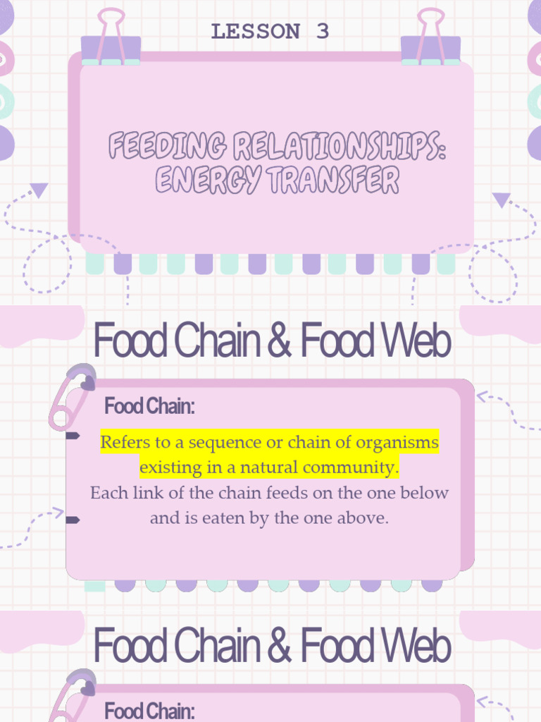 Lesson 3 Feeding Relationships | PDF | Food Web | Foods
