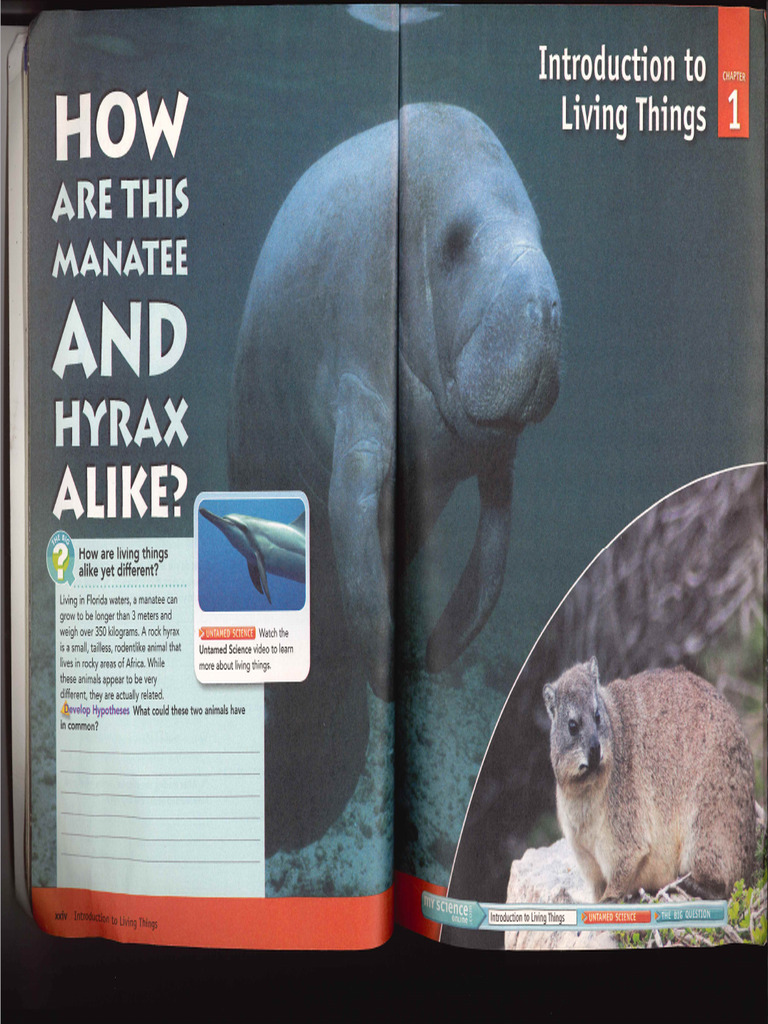 Diversity of Life Chapter 1 | PDF