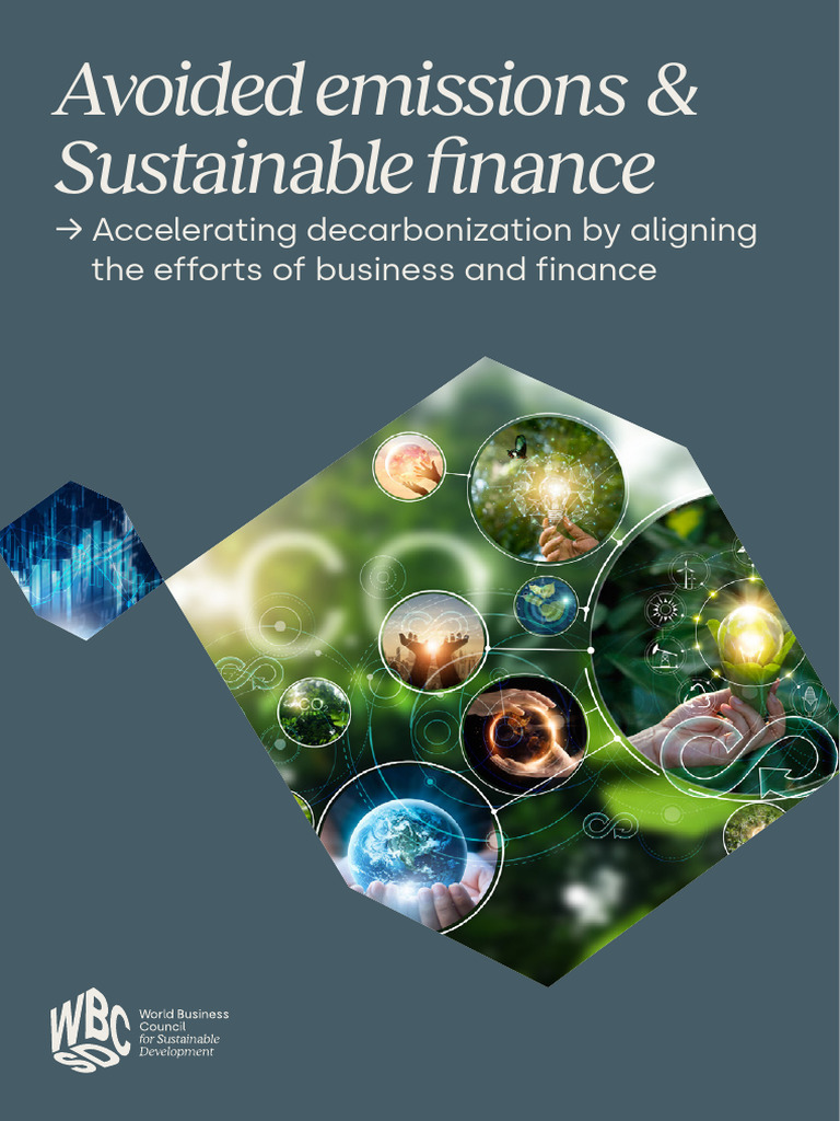 WBCSD Accelerating-Decarbonization | PDF | Climate Change Mitigation ...