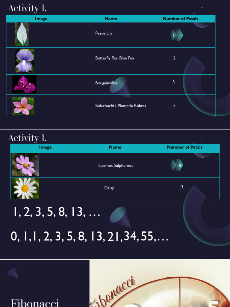 Lesson 2 Fibonacci Handout | PDF