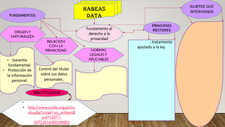 Habeas Data Mapa Conceptual | PDF | Privacidad | Justicia