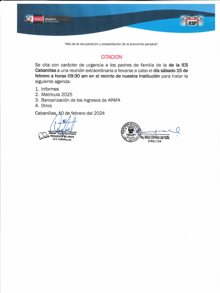 Citacion Apafa | PDF