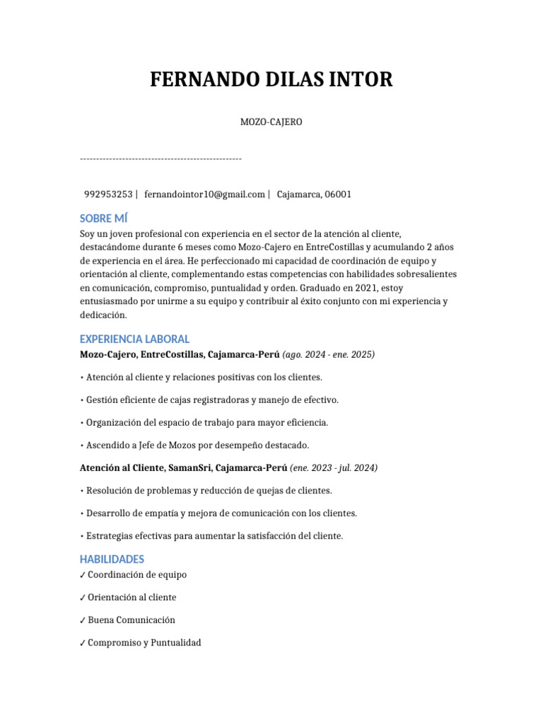 CV Fernando Dilas Intor Plantilla | PDF