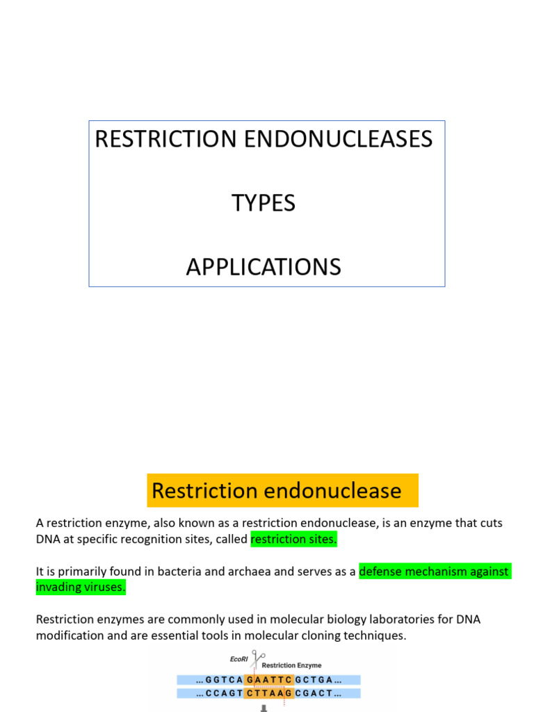 Restriction endonucleases types and application | PDF | Restriction Enzyme | Enzyme