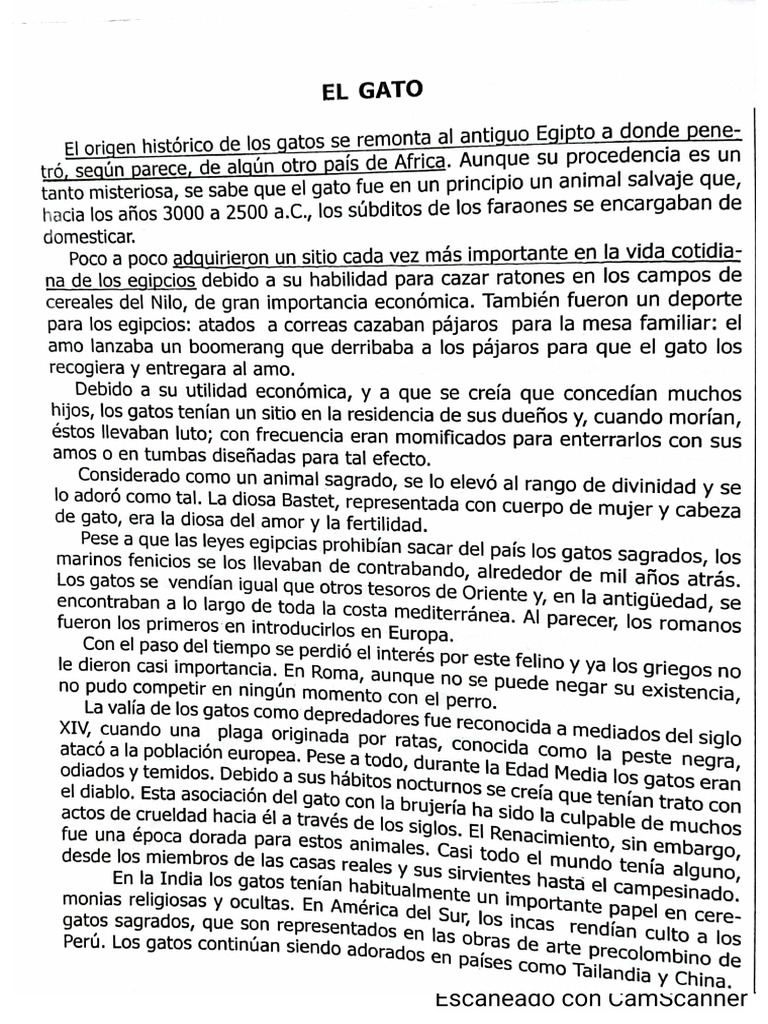 Texto Expositivo El Gato | PDF