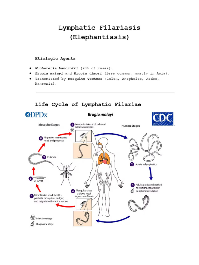 Lymphatic Filariasis Overview and Management | PDF | Medical ...