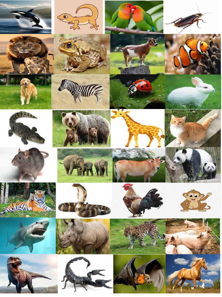 Hewan | PDF
