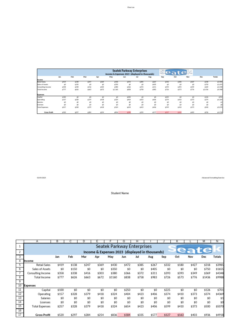 Activity 2.8 - Advanced Formatting Exercise | PDF
