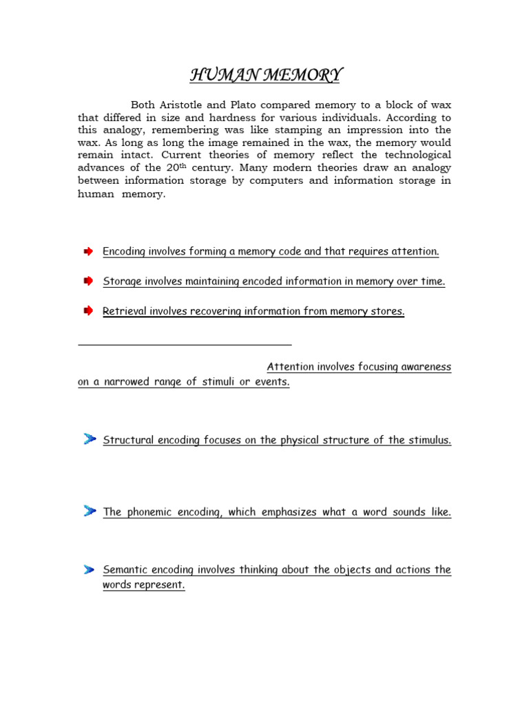 MEMORY | PDF | Memory | Recall (Memory)