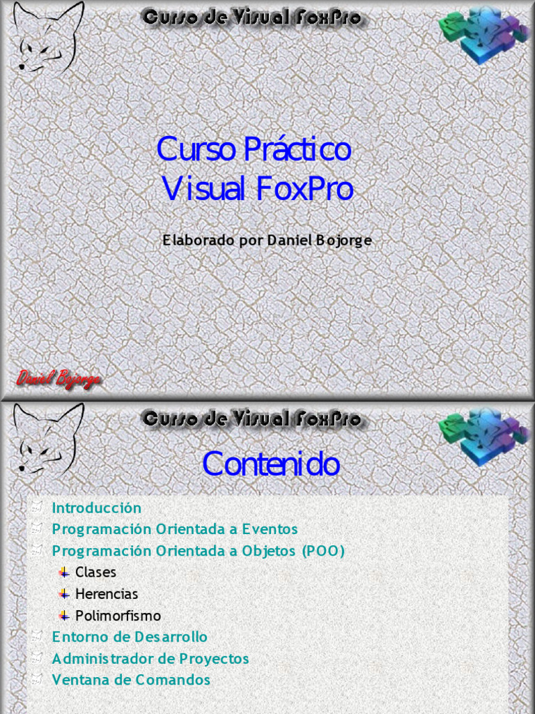 Curso VFP | PDF | Objeto (informática) | Programación orientada a objetos