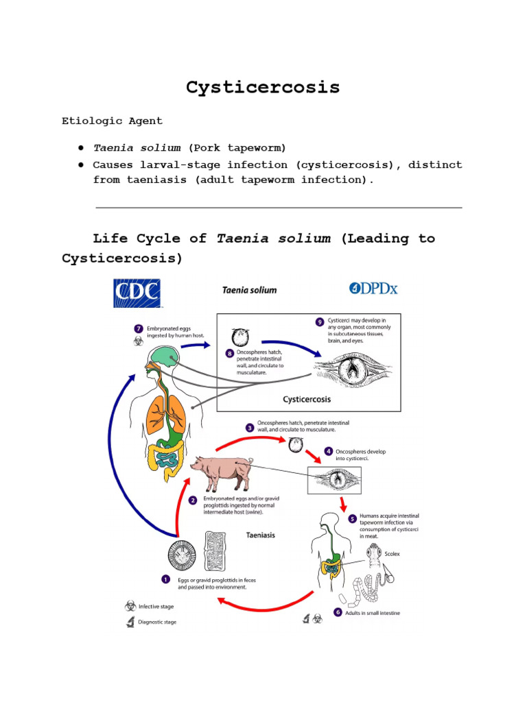 Understanding Cysticercosis: Causes & Effects | PDF