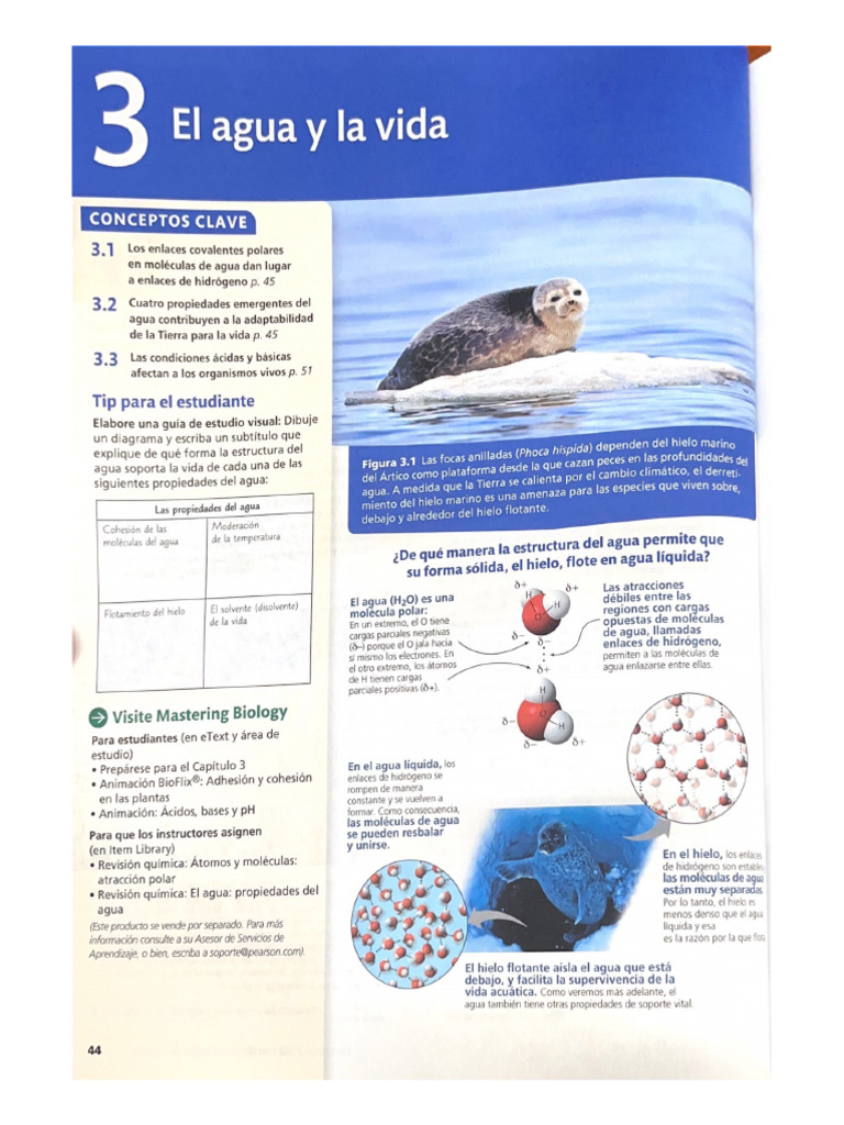 Conceptos Clave | PDF