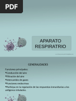 Nariz y senos paranasales | PDF | Nariz humana | Rinología