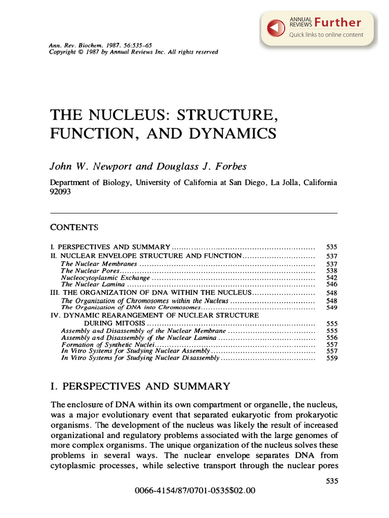 Nucleus Review | PDF | Cell Nucleus | Endoplasmic Reticulum