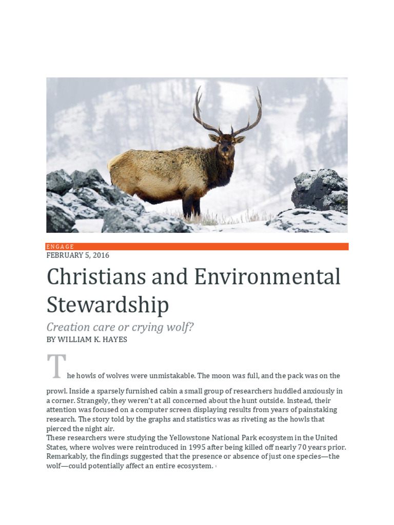 Christians and Environmental Stewardship Adventist Review Feb2016 | PDF ...