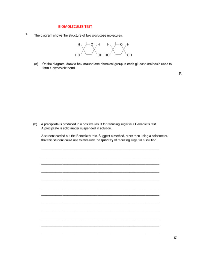 Biomolecules Test | PDF