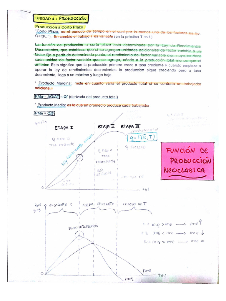 Micro - Unidad 5 | PDF