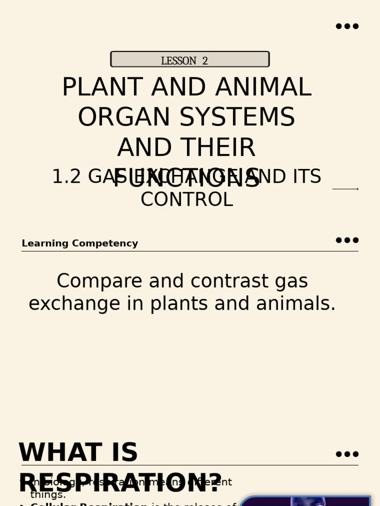 Gas Exchange in Plants and Animals | PDF | Respiratory System | Lung