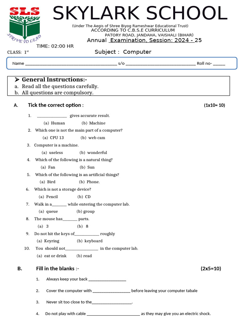 1st Computer Annual Examination 2024-25 | PDF | Computer Keyboard | Computing