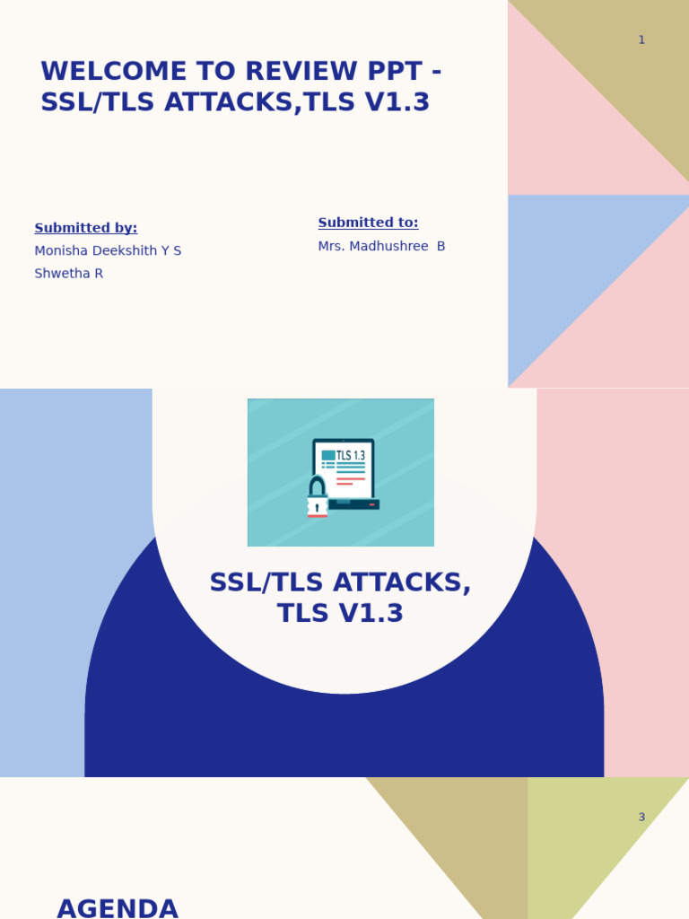 Network Security | PDF | Transport Layer Security | Security Technology