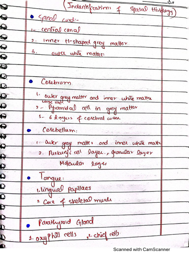 Points of Identifications Specail Histol | PDF