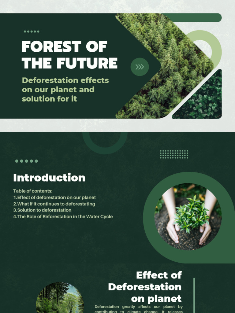Deforestation Effects On Our Planet and Solution For It - 20250309 ...