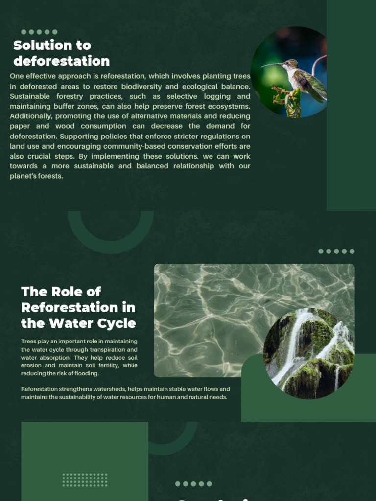 Solutions for Deforestation and Reforestation | PDF
