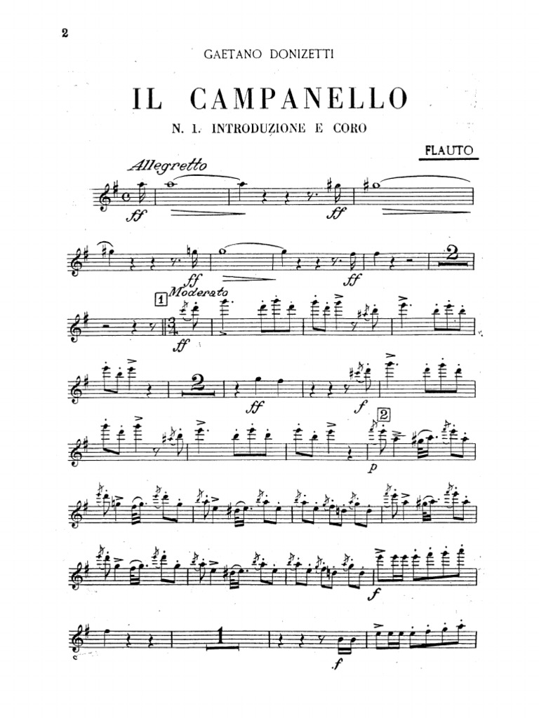 Donizetti_Il_campanello_-_Flute (1) | PDF