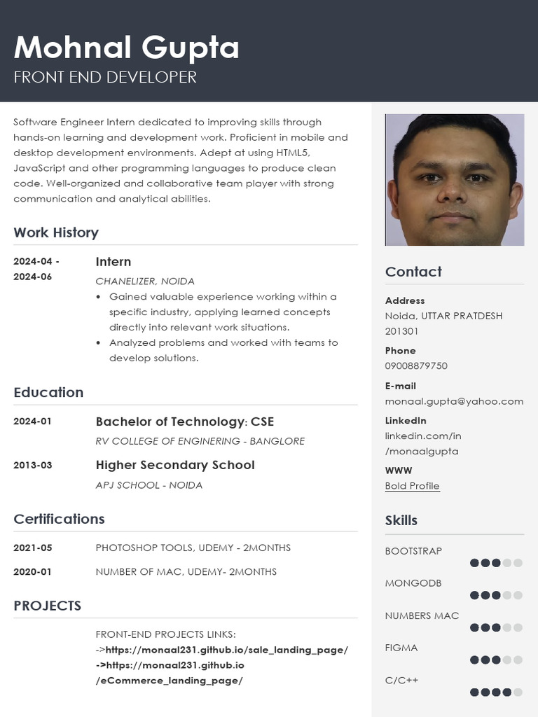 Front End Developer Resume Summary | PDF