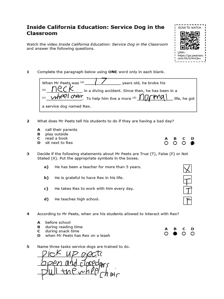 Service Dog Classroom Worksheet | PDF | Learning | Human Communication