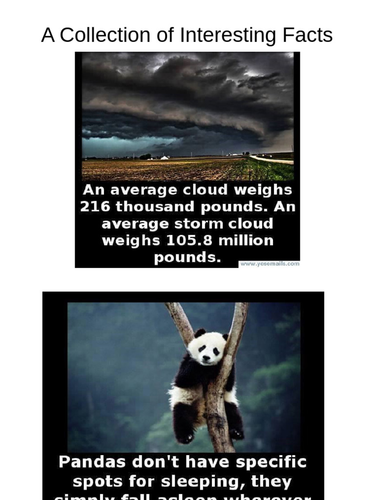 Collection of Interesting Facts | PDF