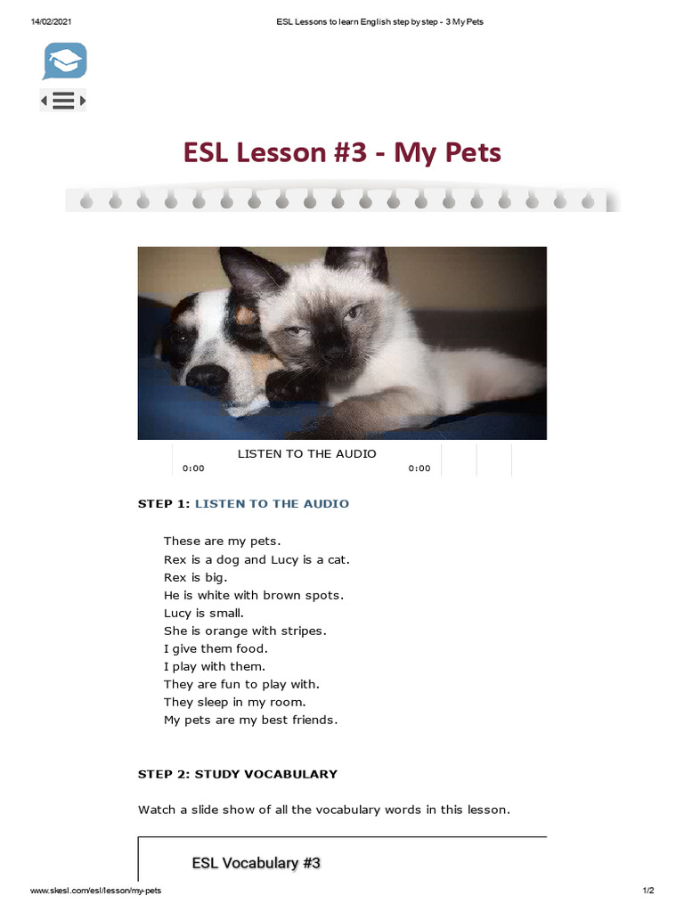 ESL Lessons To Learn English Step by Step - 3 My Pets | PDF