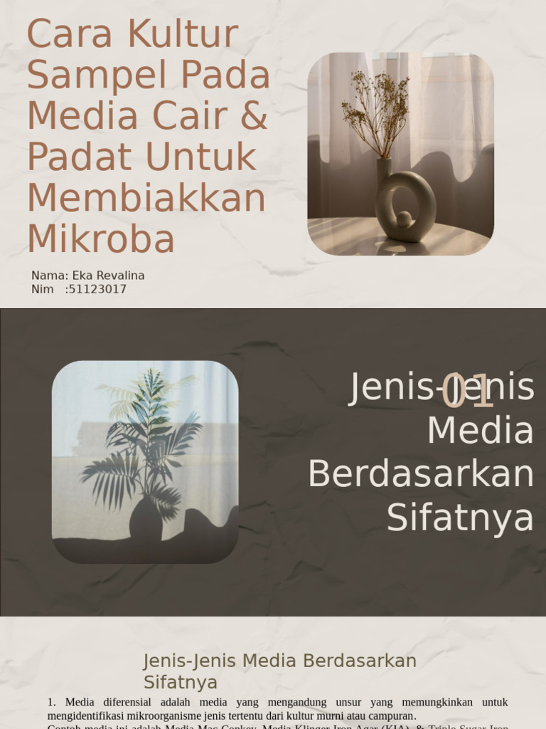 PPT 2 Eka Revalina CARA KULTUR SAMPEL PADA MEDIA CAIR PADAT | PDF