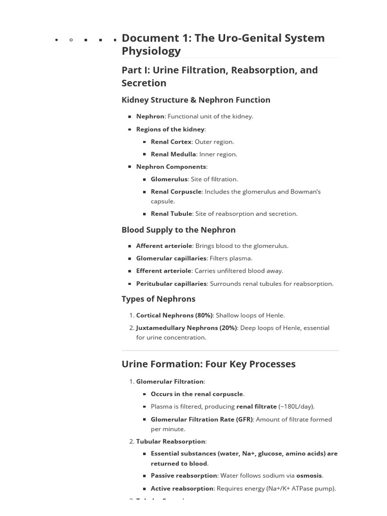 Uro-Genital Physiology Resume | PDF | Kidney | Urination
