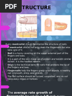 Worksheet Nails | PDF | Nail (Anatomy) | Integumentary System